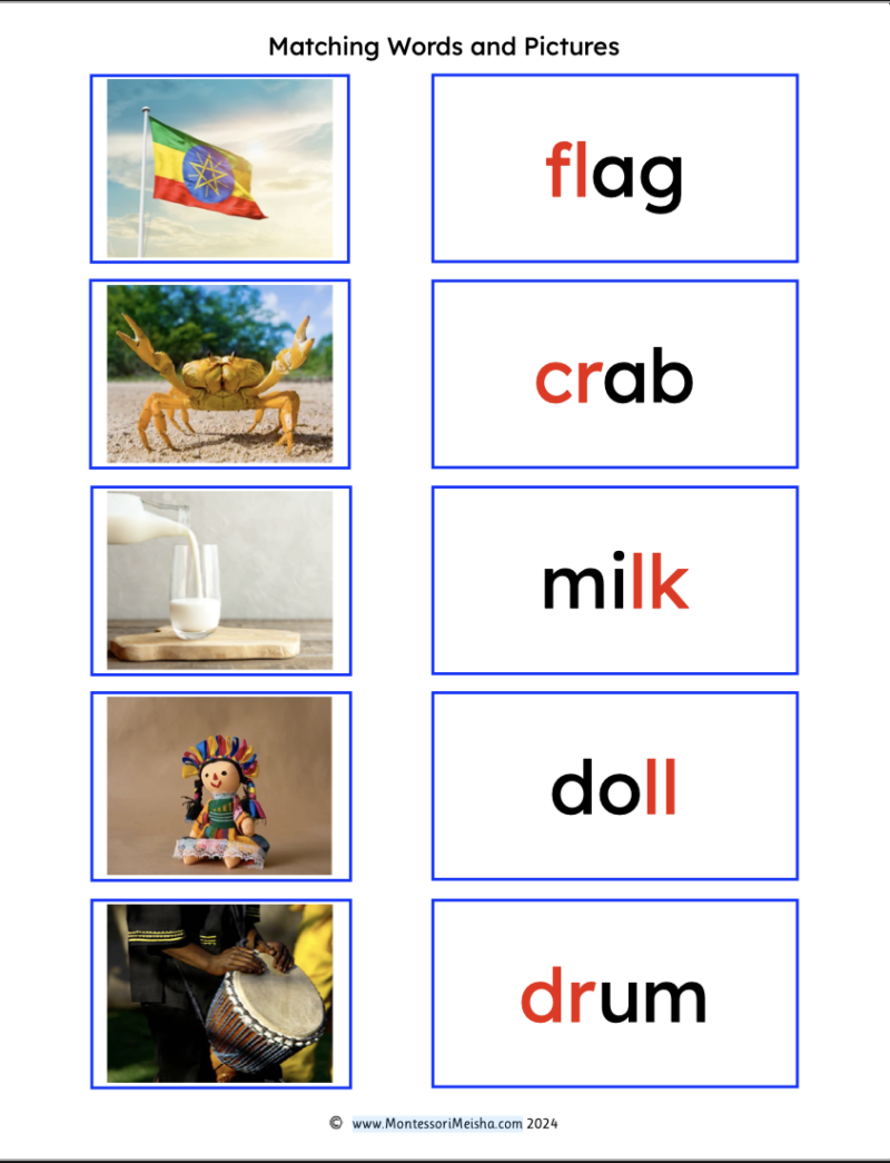 Blue Series Matching Words and Pictures - Printable Montessori Teaching ...