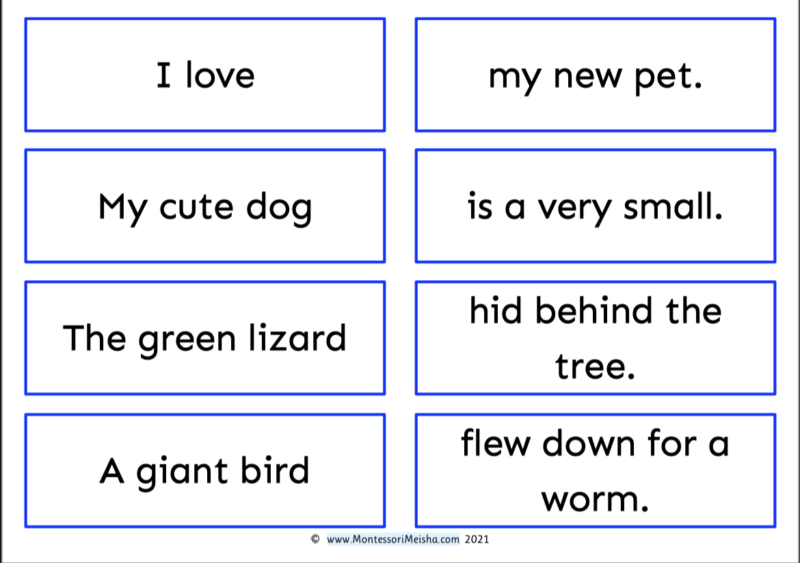 Blue Series Matching Phrases - Printable Montessori Teaching Resources