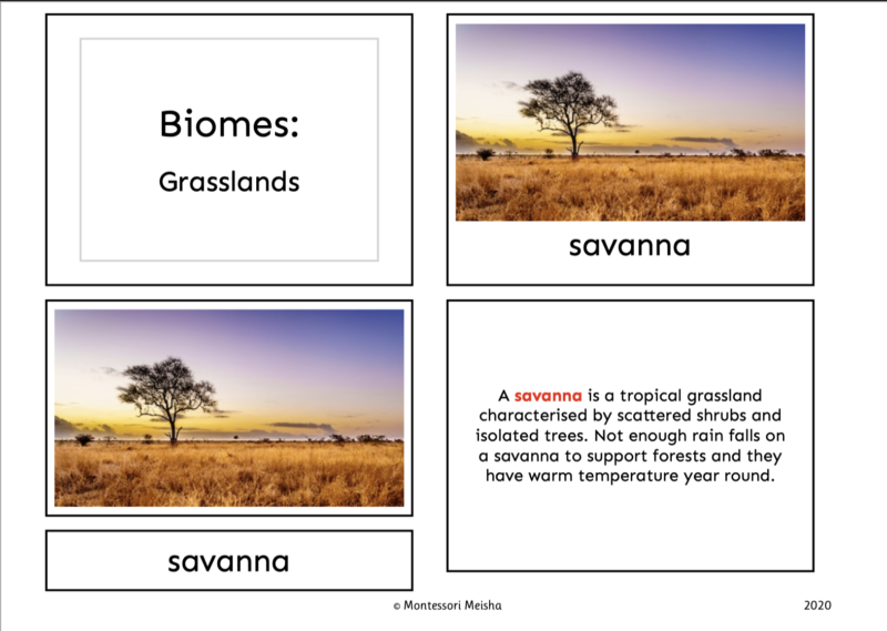 Grassland Biomes - Printable Montessori Teaching Resources